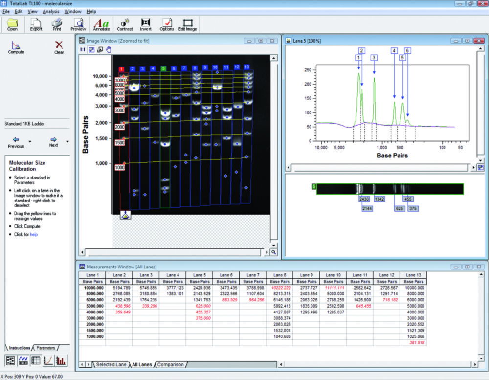 Gel Dokumentationssystem microDOC mit UV-Transilluminator | microDOC mit UV-Transilluminator 254 ...